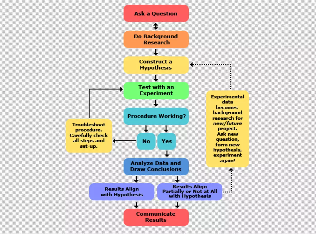 Free Premium PNG Scientific Method Flowchart: Steps for Research ...